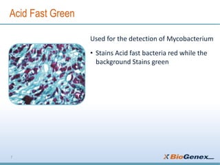 Pathology Special Stains for FFPE Tissue Staining | PPTX
