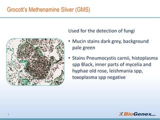 Pathology Special Stains for FFPE Tissue Staining | PPTX