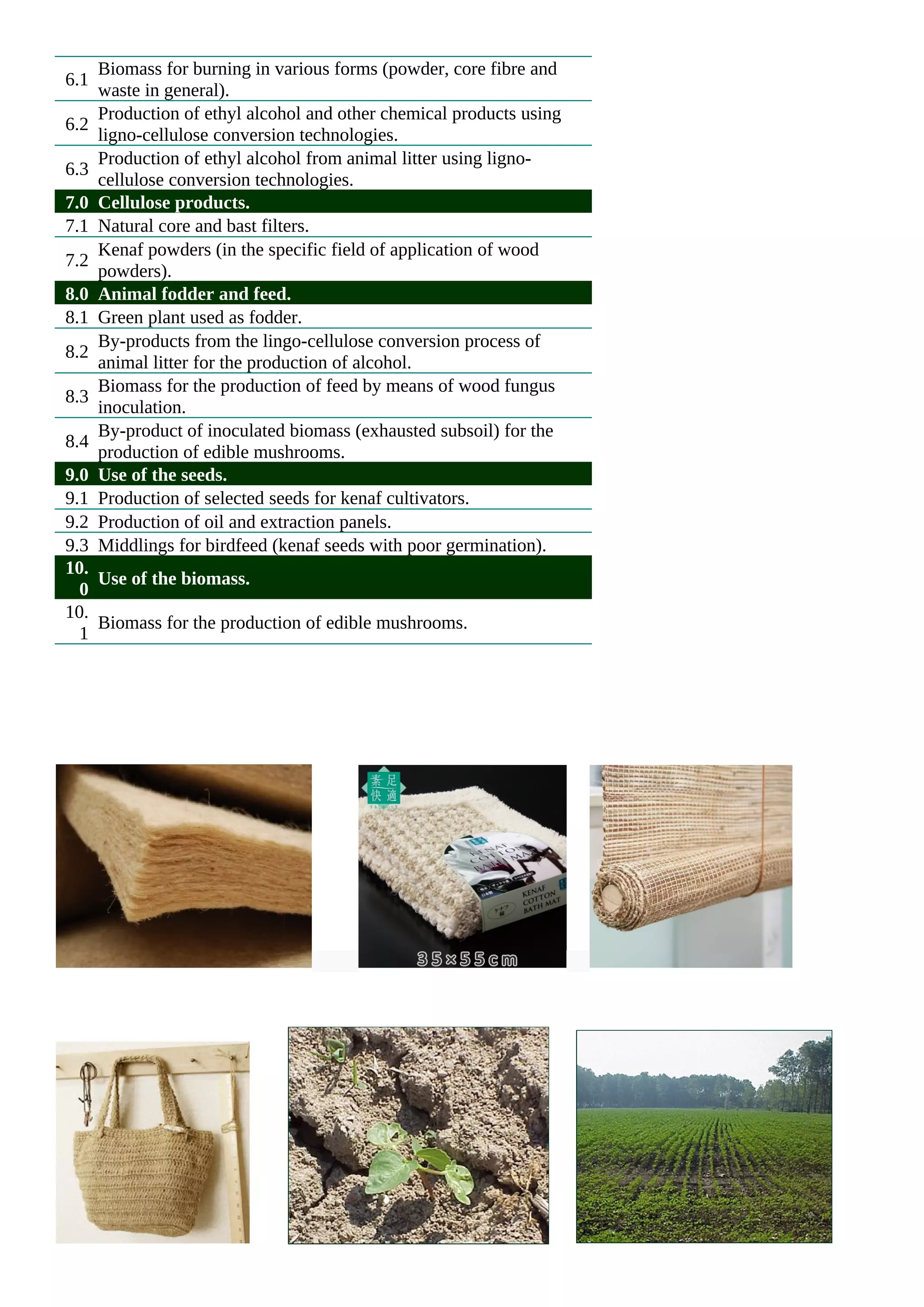 KENAF | PDF