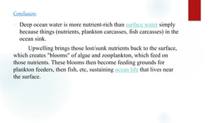 UPWELLING AND IT'S EFFECT ON FISHERIES | PPTX