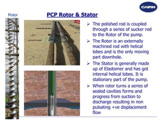 WELL HEAD pcp overview1234 | PPTX