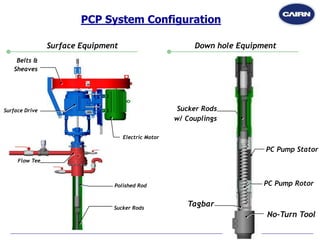 WELL HEAD pcp overview1234 | PPTX