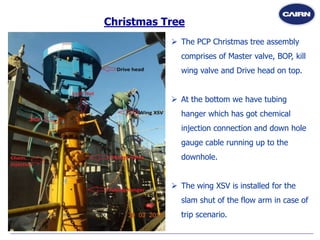 WELL HEAD pcp overview1234 | PPTX