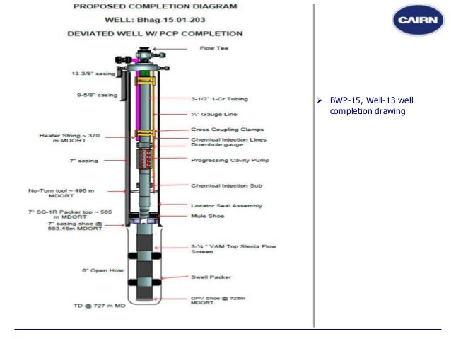 WELL HEAD pcp overview1234