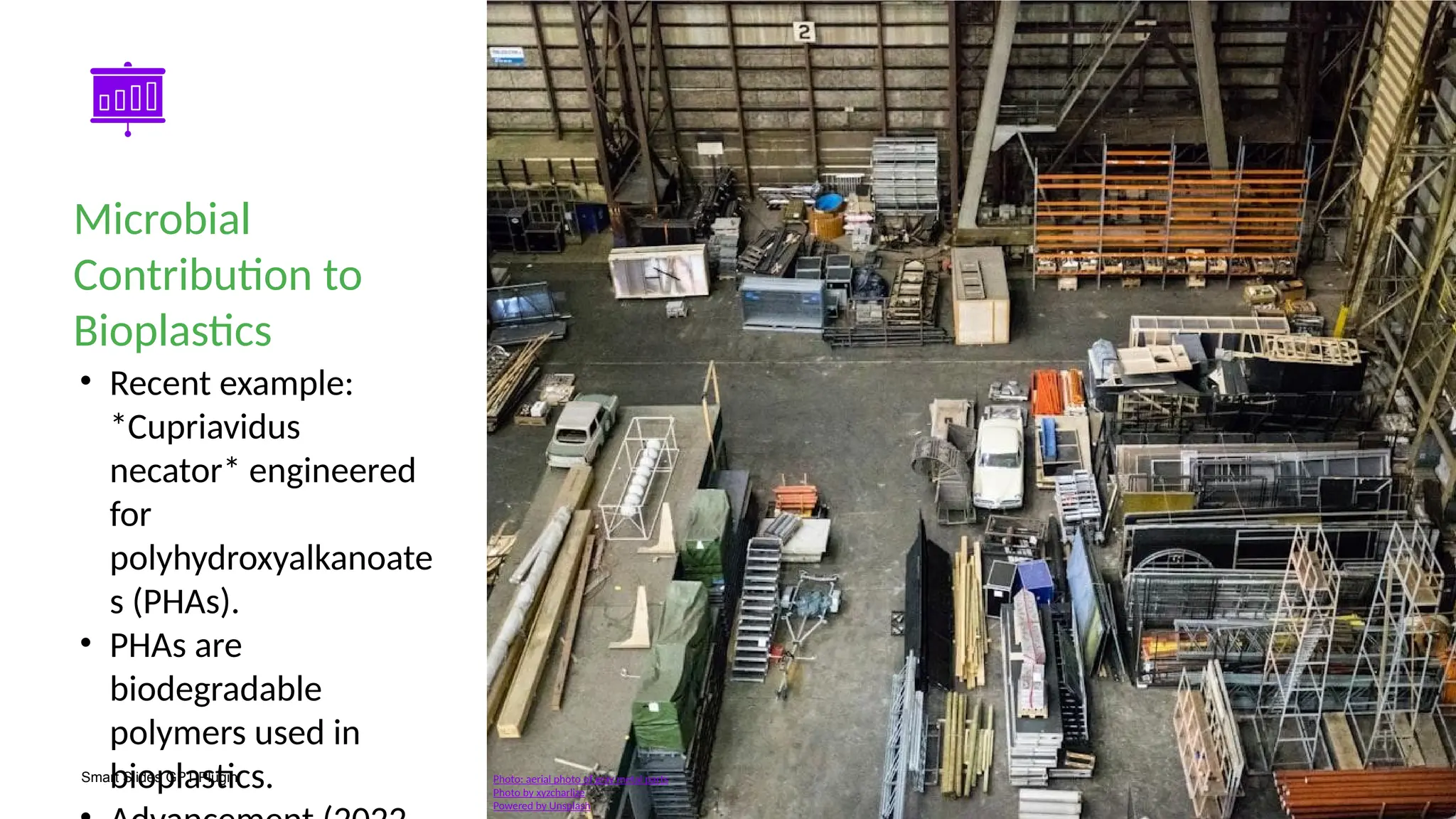 bhakti msc biology project presentation.pptx