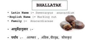Semicorpus anacardium Bhallatak in agad tantra (AG) ppt.pptx