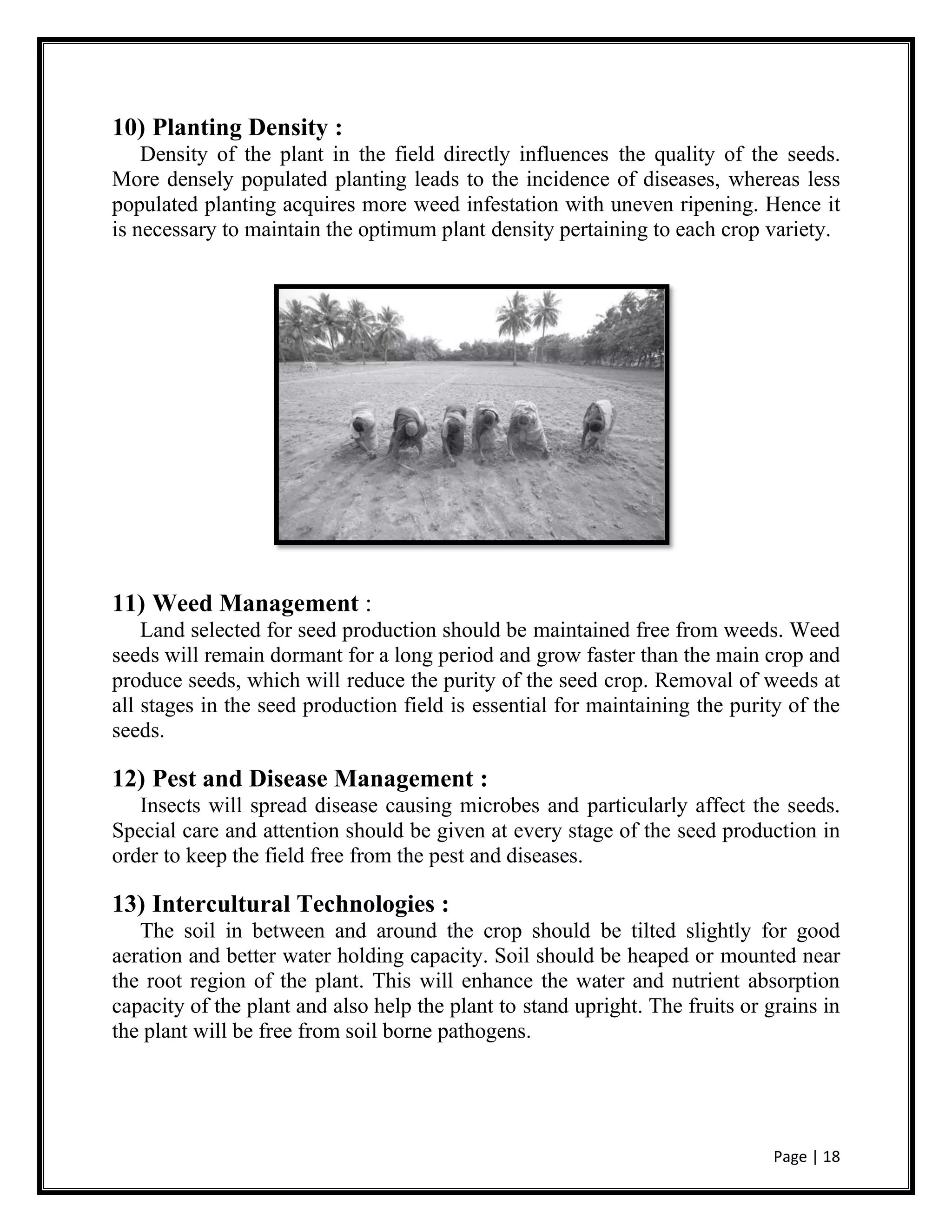 Management of Seed-Borne Plant Pathogens/Diseases and Procedure for ...