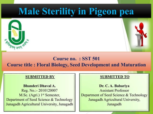 Male Sterility in Pigeon pea | PPTX | Infertility | Reproductive Health
