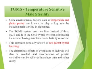 Male Sterility in Pigeon pea | PPTX | Infertility | Reproductive Health