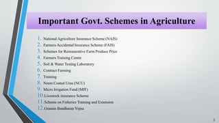 State Government Schemes in Agriculture in Gujarat | PPTX