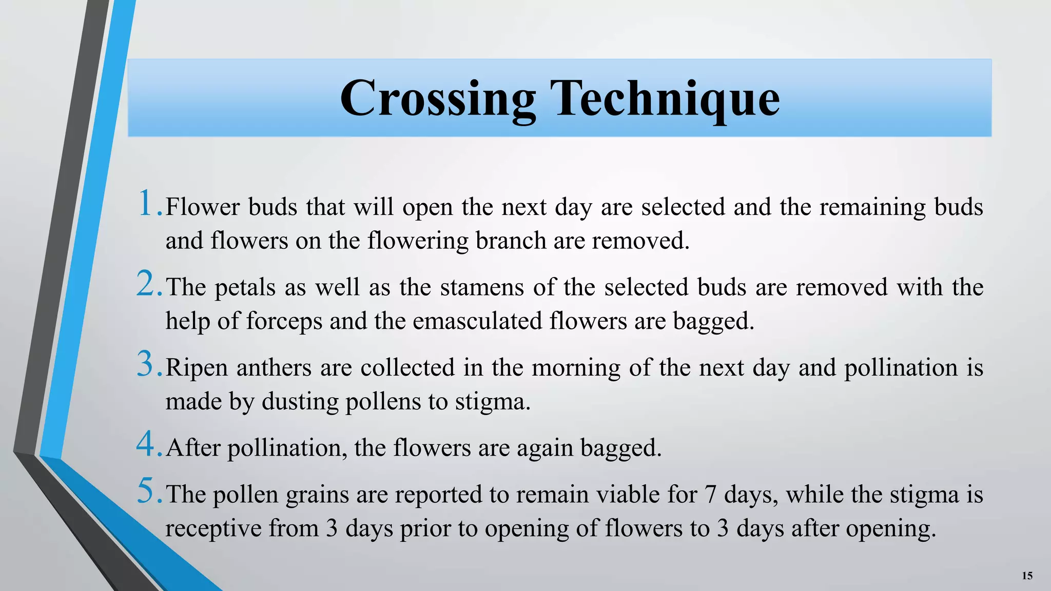 Floral Biology, Selfing & Crossing techniques and Seed Production on Mustard | PPTX