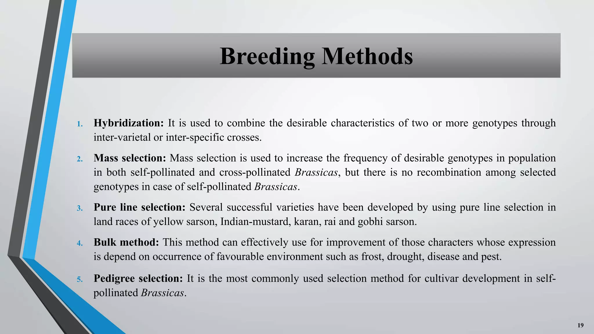 Floral Biology, Selfing & Crossing techniques and Seed Production on Mustard | PPTX