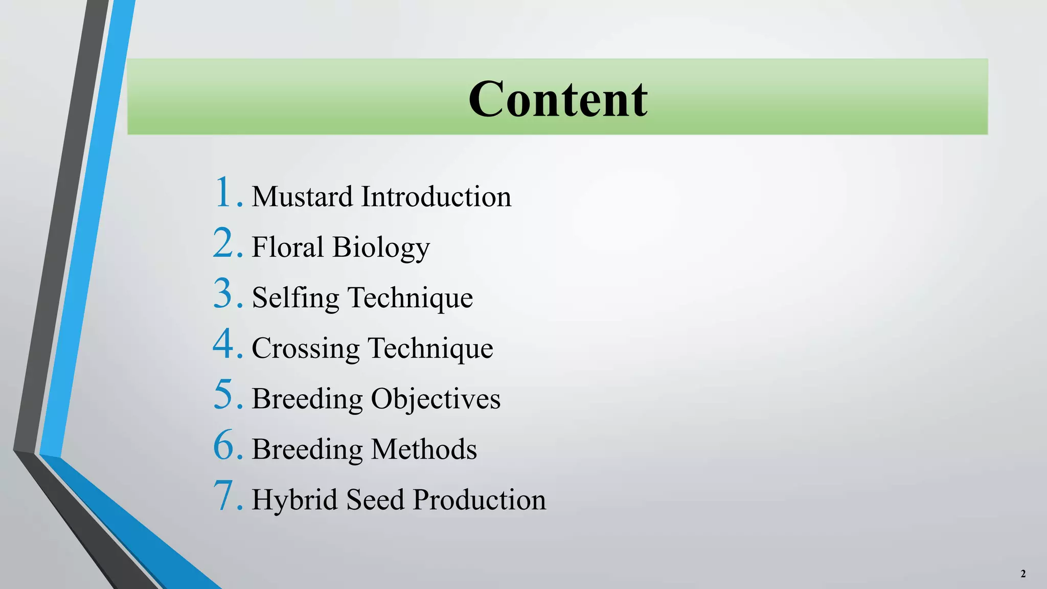 Floral Biology, Selfing & Crossing techniques and Seed Production on Mustard | PPTX