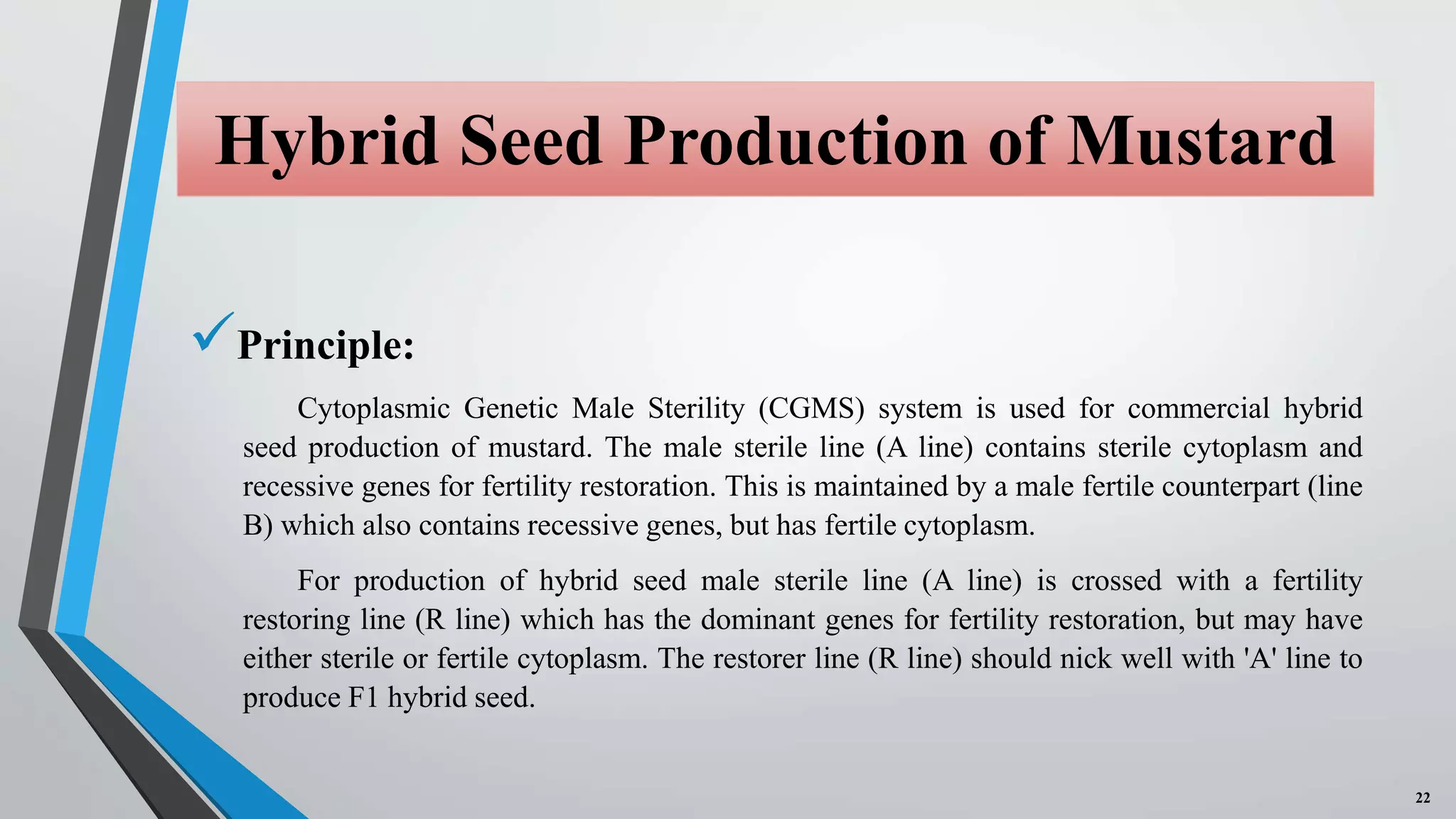 Floral Biology, Selfing & Crossing techniques and Seed Production on Mustard | PPTX