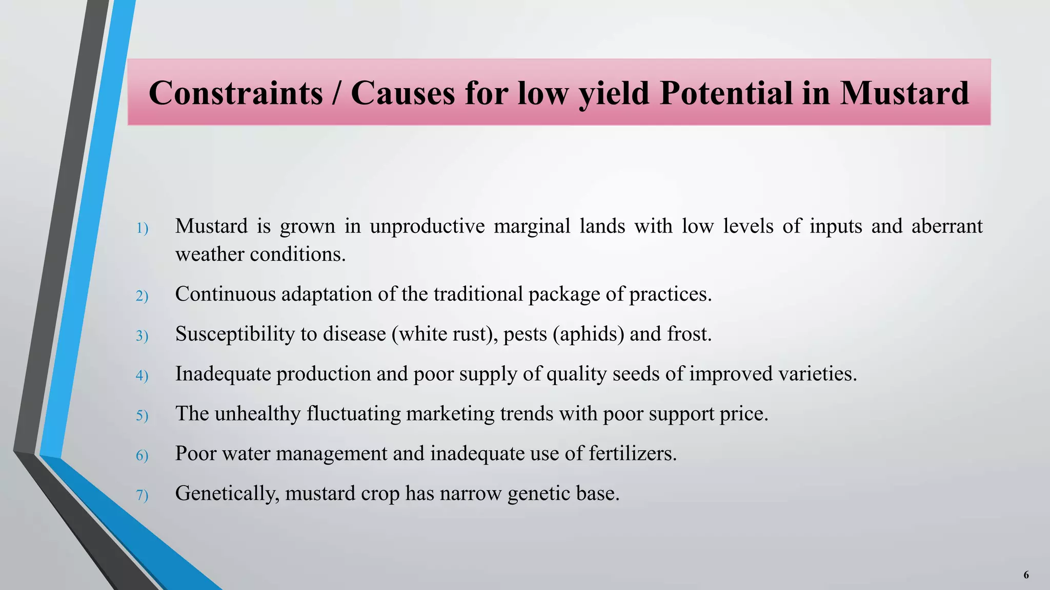 Floral Biology, Selfing & Crossing techniques and Seed Production on Mustard | PPTX