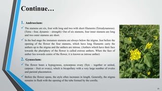 Floral Biology, Selfing & Crossing techniques and Seed Production on ...