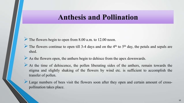 Floral Biology, Selfing & Crossing techniques and Seed Production on Mustard | PPTX | Beekeeping ...