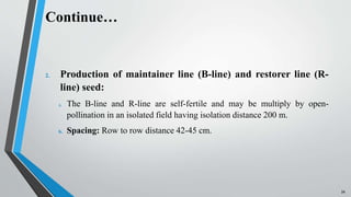 Floral Biology, Selfing & Crossing techniques and Seed Production on ...