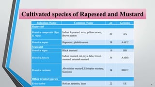 Floral Biology, Selfing & Crossing techniques and Seed Production on ...