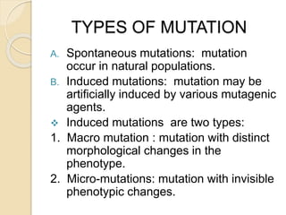 mutation in plant breeding | PPTX