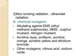 mutation in plant breeding | PPTX