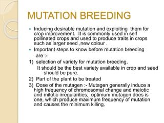 mutation in plant breeding | PPTX