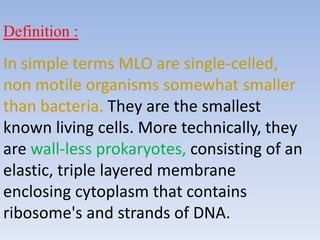 pathology diseases caused by mlo's | PPTX