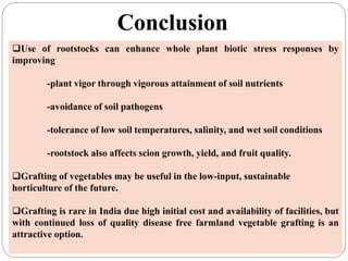 Grafting in vegetable | PPT