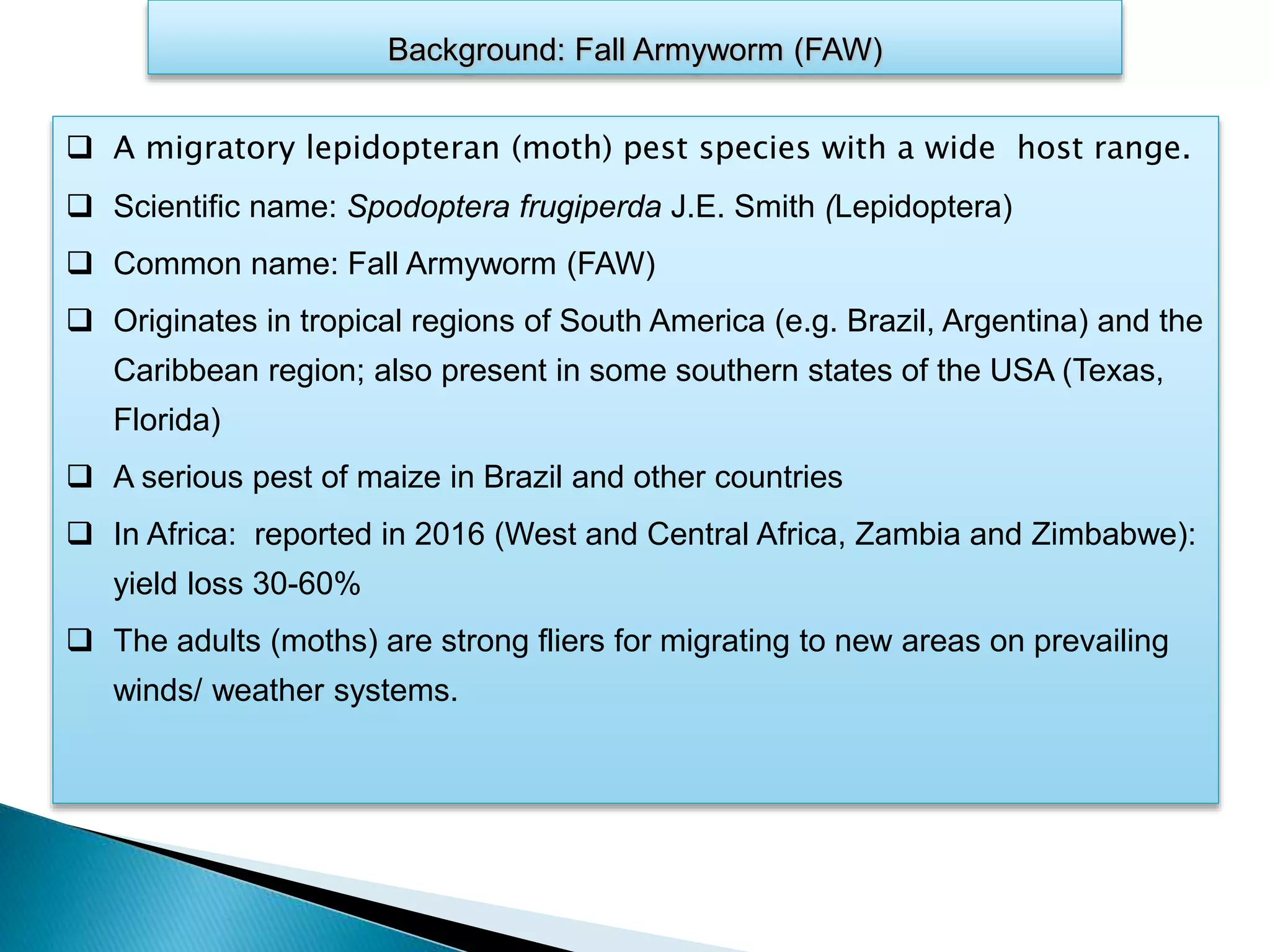 fall army worm ppt bharath | PPTX
