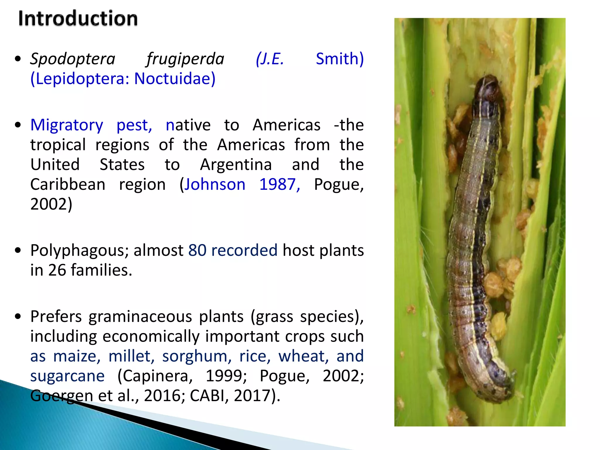 fall army worm ppt bharath | PPTX