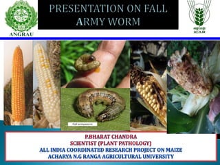 fall army worm ppt bharath | PPTX