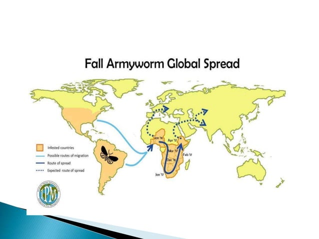 fall army worm ppt bharath | PPTX