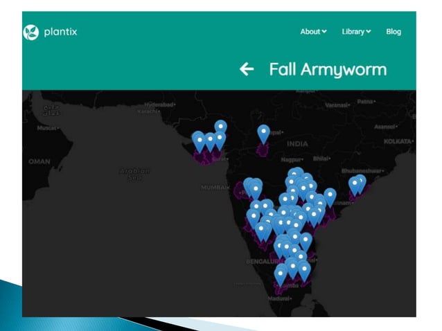 fall army worm ppt bharath | PPTX