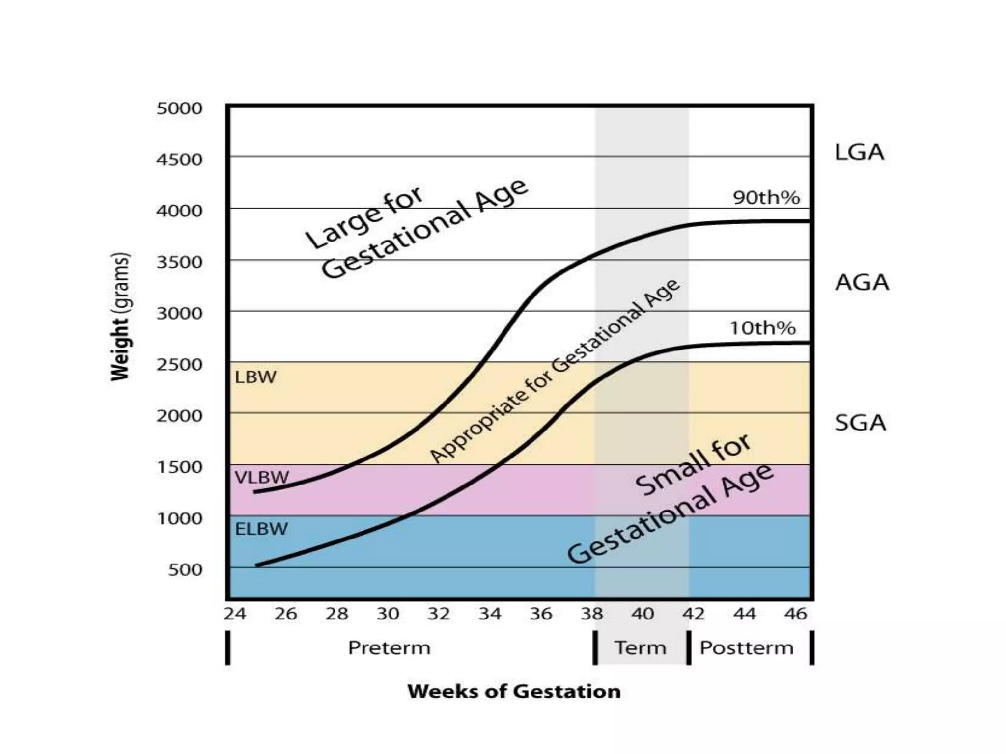 Assessment of Gestational age | PPTX