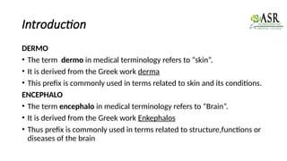 Bharath Gorrumuchu (Anatomy-Dermo,Encephalo) | PPT