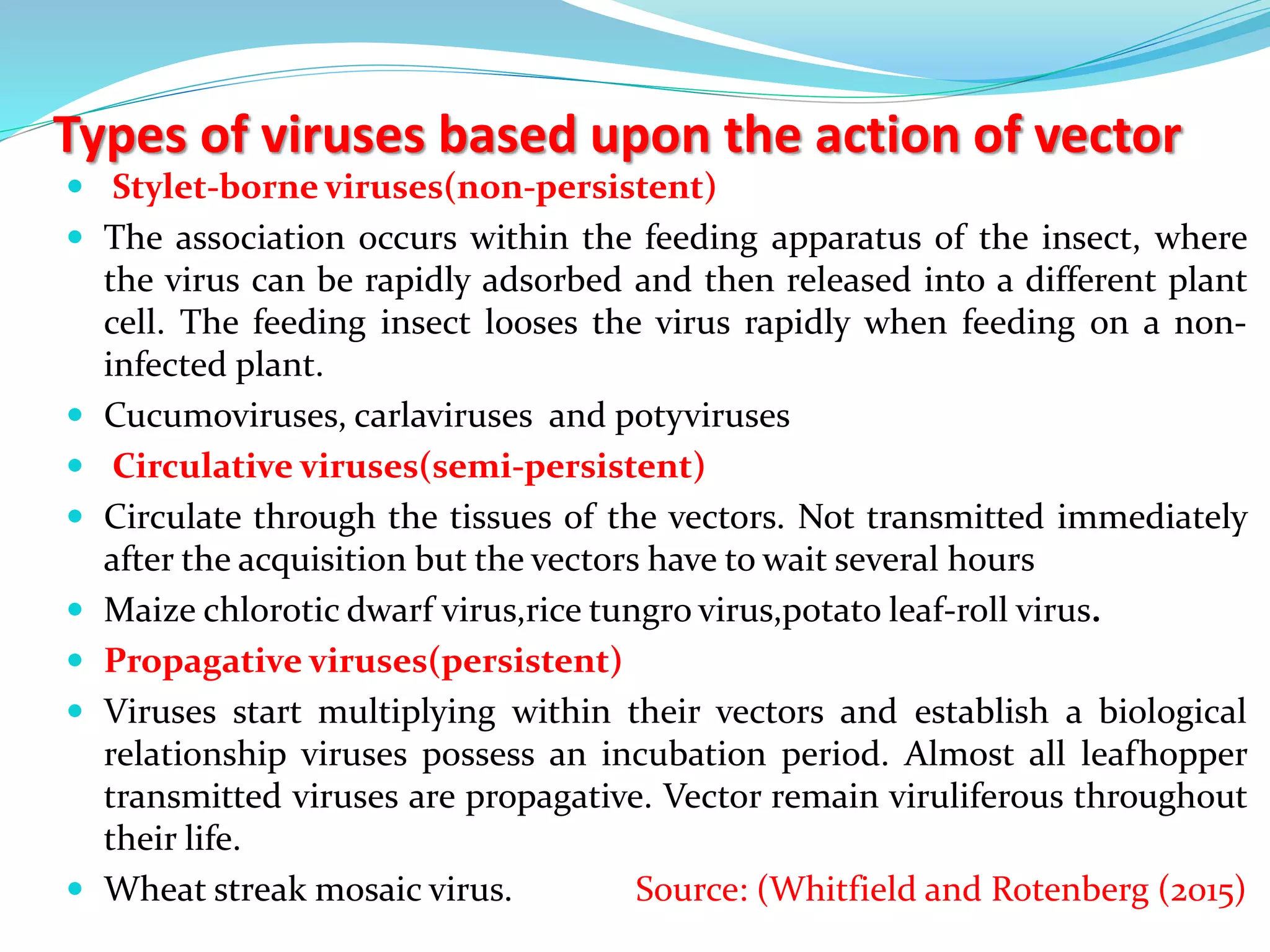 whitefly as vector | PPTX