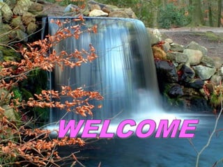 whitefly as vector | PPTX