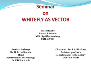 whitefly as vector | PPTX