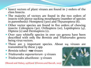 whitefly as vector | PPTX