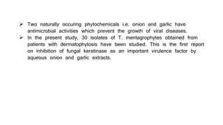 Inhibition effect of Garlic and Onion | PPTX