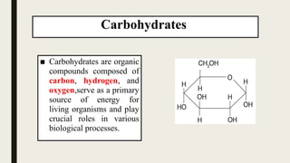 biosynthesis and regulation of macromolecules | PPTX