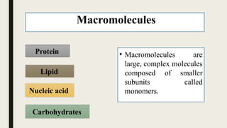 biosynthesis and regulation of macromolecules | PPTX