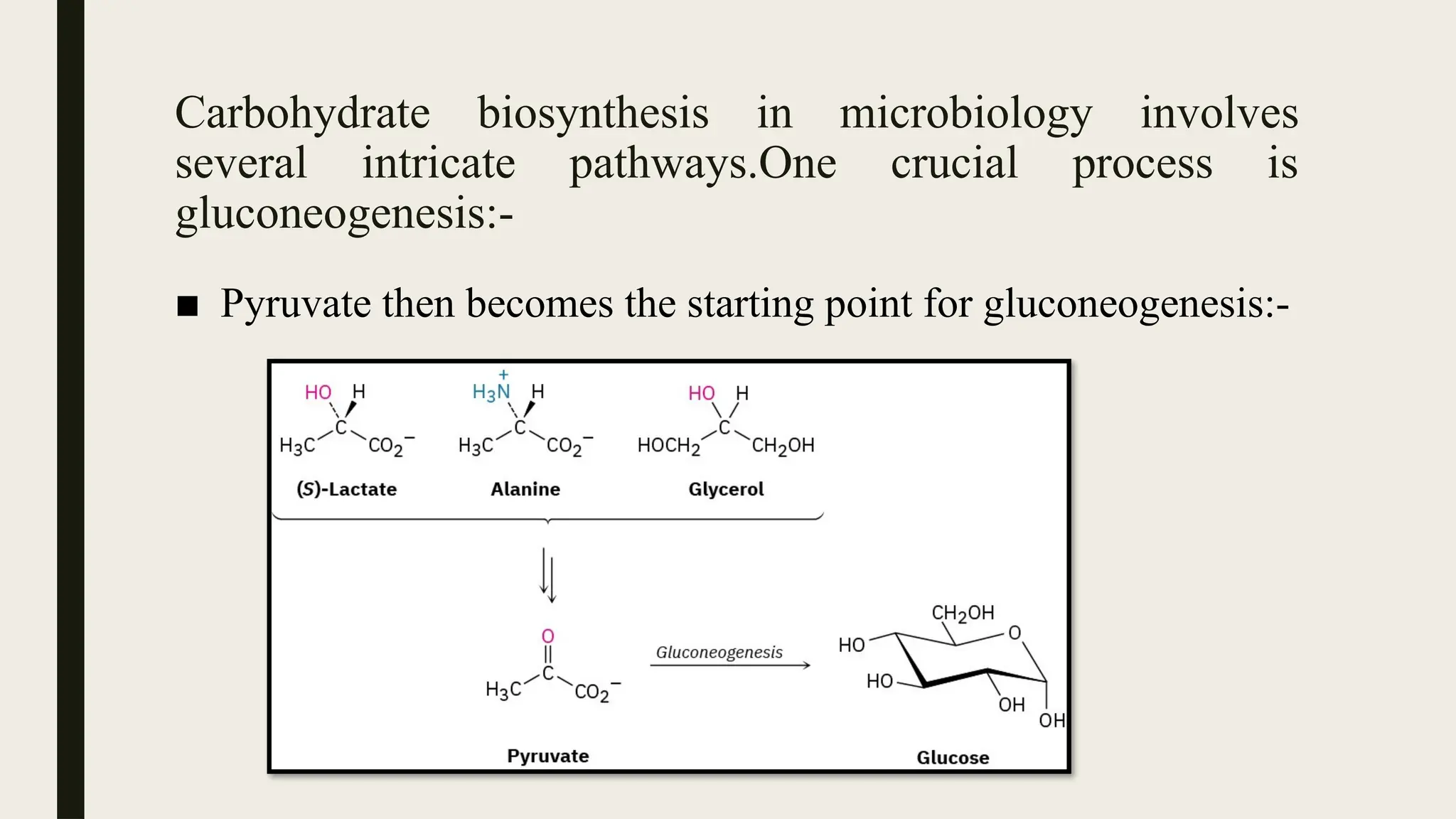 Biosynthesis of Macromolecules and Regulation of Microbial Metabolism ...