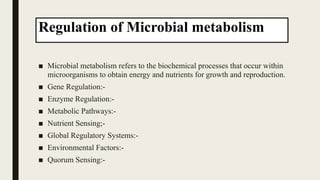 Biosynthesis of Macromolecules and Regulation of Microbial Metabolism ...