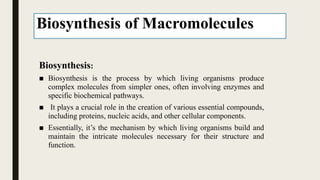 Biosynthesis of Macromolecules and Regulation of Microbial Metabolism ...