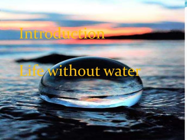 Life Without Water | PPTX | Environmental Services Industry | Industries