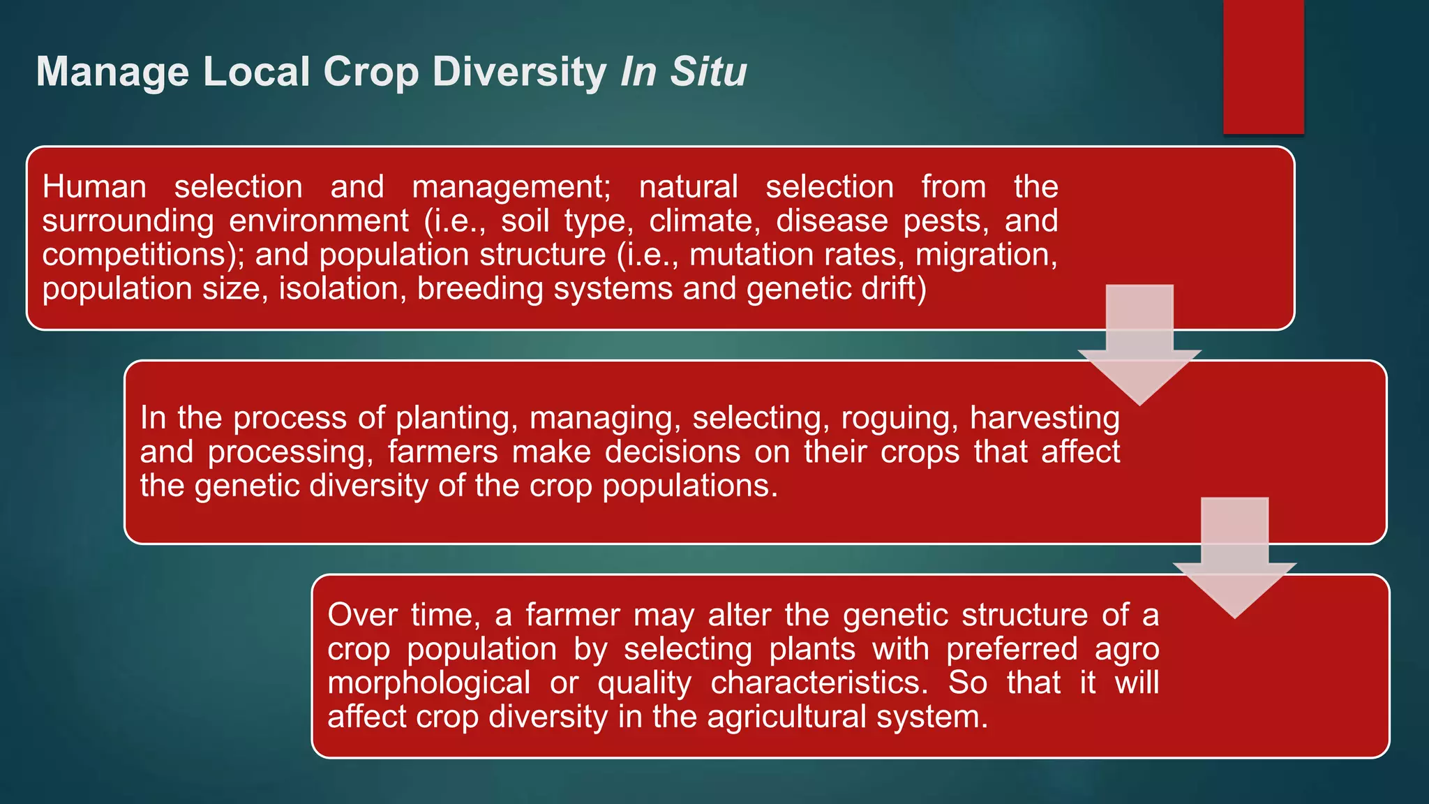 Bhaskara1.In Situ Conservation of Agricultural Biodiversity Through ...
