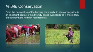 Bhaskara1.In Situ Conservation of Agricultural Biodiversity Through ...