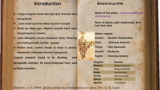carissa carandas plant botanical profile, analytical profile, isolation ...