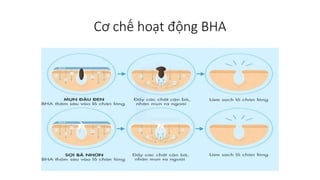 BHA và AHA.pptx | Free download